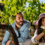 Montepulciano: Wine Tasting in the Tuscan countryside - Authenticity and Value for Travelers