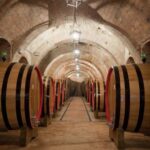 Montepulciano: Wine Tasting & Lunch in a Typical Winery - The Wine Tasting Experience
