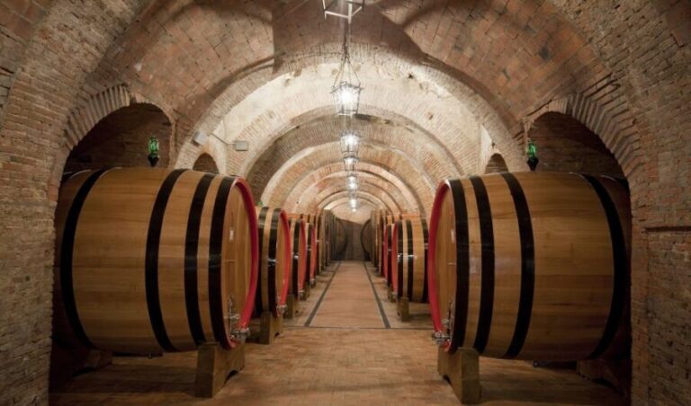 Montepulciano: Wine Tasting & Lunch in a Typical Winery - The Wine Tasting Experience