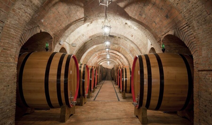 Montepulciano: Wine Tasting & Lunch in a Typical Winery - The Wine Tasting Experience