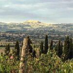Montepulciano: Wine Tour and tasting - A Scenic and Historic Setting