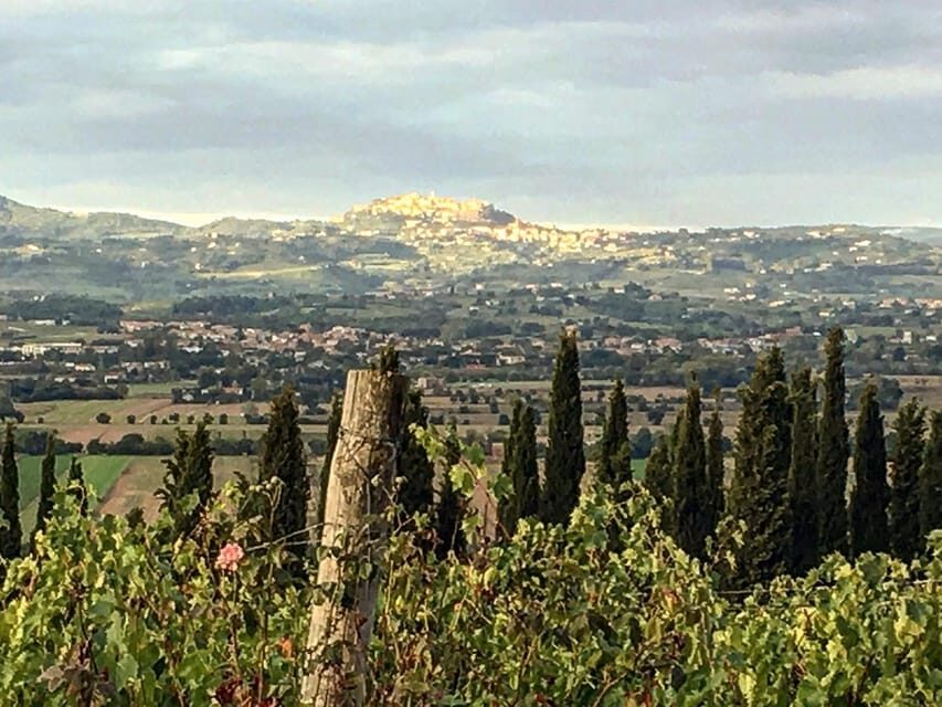 Montepulciano: Wine Tour and tasting - A Scenic and Historic Setting