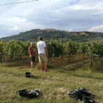 Montepulciano: Wine Tour E-Bike Experience - The Experience and Its Value