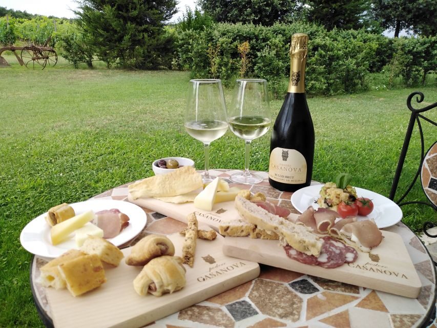 Montepulciano: Winery Tour, Tasting, and Vineyard Picnic - What’s Included & Practical Considerations