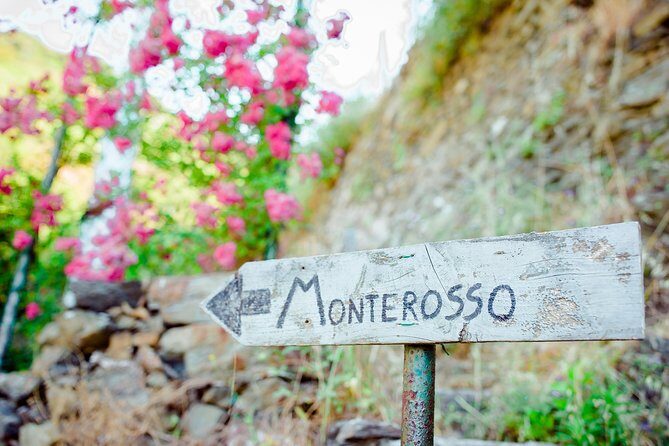 Monterosso and Portofino Shore Excursion from La Spezia - Practicalities and Value