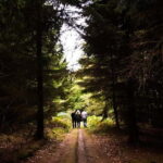 Monthermé: wild hike along the Meuse crests and its viewpoints - What You Can Expect at Each Stop