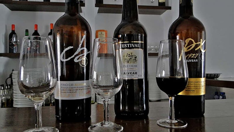 Montilla-Moriles Wine Tasting - The Itinerary and What You Can Expect