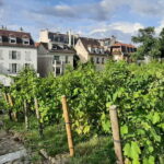 Montmartre Secret Gardens & French Goûter (snack) - The Itinerary Breakdown