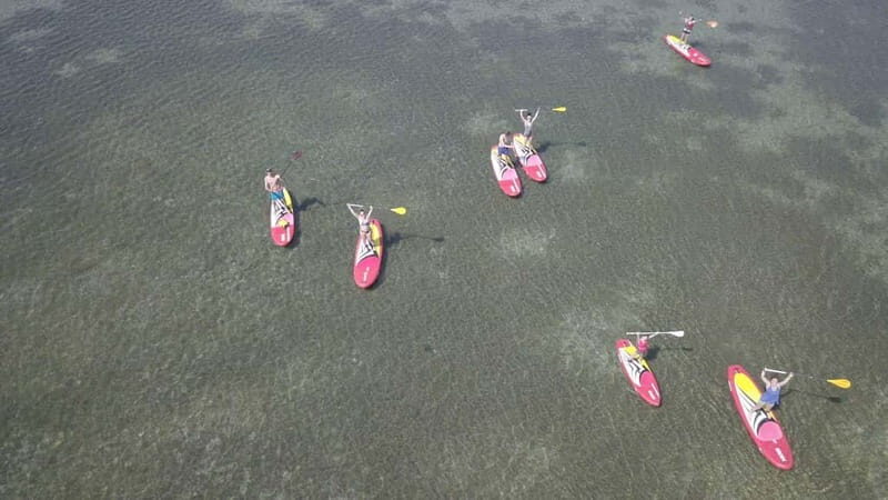 Montpellier: Stand-Up Paddleboarding Discovery Tour - The Practicalities