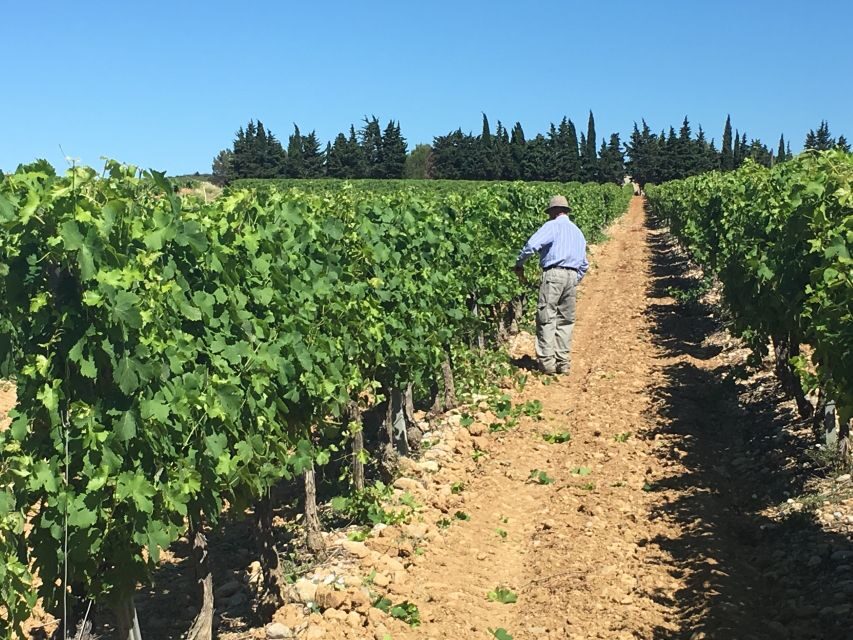 Montpellier Wine and Oyster Tour - Visiting the Wine Estate: History and Hospitality