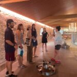 Montpellier : Wine Tour Pic St Loup - A Closer Look at the Tour Experience
