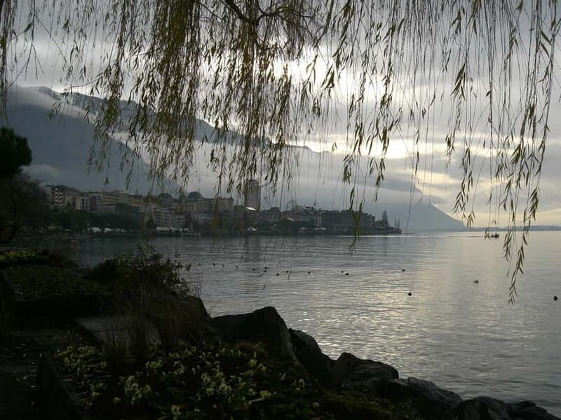 Montreux private guided city tour - What to Expect in Terms of Experience