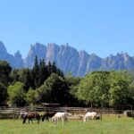Montserrat Horseback Riding & Monastery Small Group Tour - Potential Drawbacks to Keep in Mind