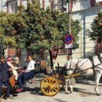 Monumental guided walking tour of the Santa Cruz district - What to Expect During the Tour