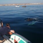 Morning private charter with drinks tapas, paddle boards &kayak - The Experience — What You’ll Actually Do