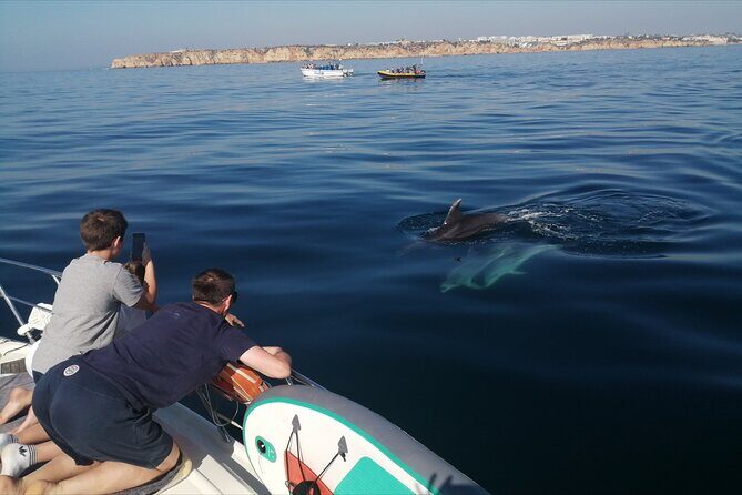Morning private charter with drinks tapas, paddle boards &kayak - The Experience — What You’ll Actually Do