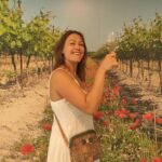 Morning Provençal Market & Food Discovery Tour - Detailed Breakdown of the Itinerary