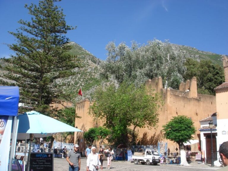 Morocco Day Trip with Tour Guide and Lunch from Algeciras - A Moroccan Feast