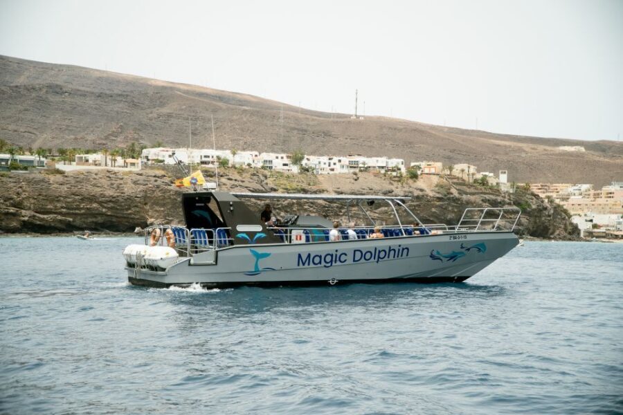 Morro Jable: Dolphin & Whale Watching Cruise, Drinks & Swim - Who Should Book This Tour?