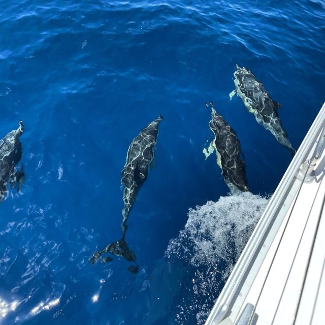 Morro Jable: Sailing Boat Excursion with Food and Drinks - The Intimate Group & Personal Touch