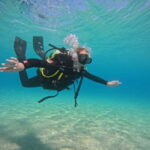 Morro Jable: Try Diving Experience for Beginners - The Itinerary in Detail