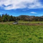 Motorcycle Full day Madeira island West Tour (Self-guided) - The Experience: Pros and Cons