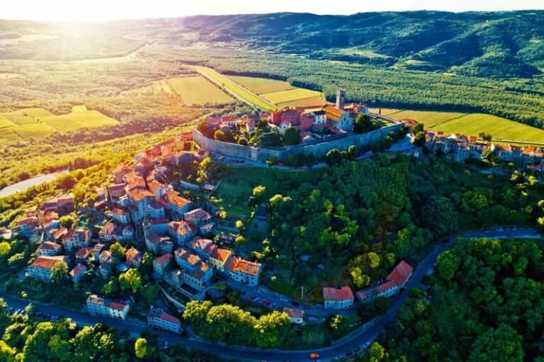 Motovun: The trail of Giants hiking tour & Fritule Tasting - What to Expect at Each Part of the Tour