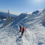 Mount Arber: Snowshoeing in the Bavarian Forest Guided Tour - Price and Value