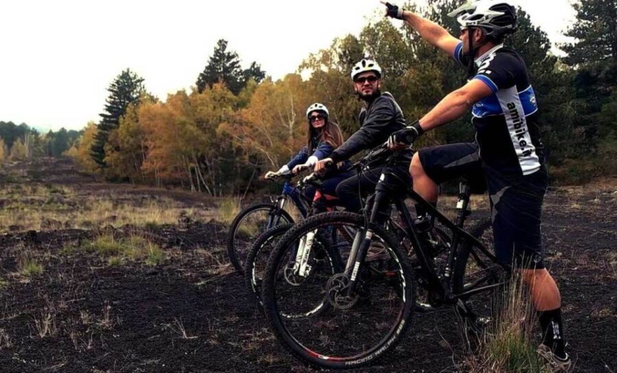Mount Etna: Guided Mountain Bike Tour - Itinerary Breakdown: What to Expect