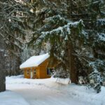 Mount Etna: Guided Snowshoeing Trekking Tour - What Are the Key Highlights?