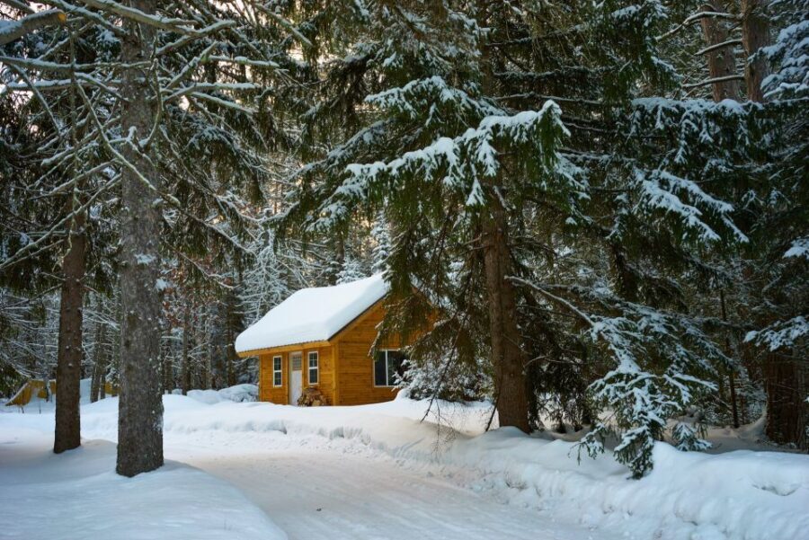 Mount Etna: Guided Snowshoeing Trekking Tour - What Are the Key Highlights?