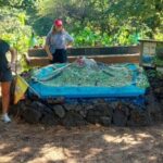Mount Etna: trek with vintage car, tasting sicilian produtcs - In-Depth Breakdown of the Itinerary