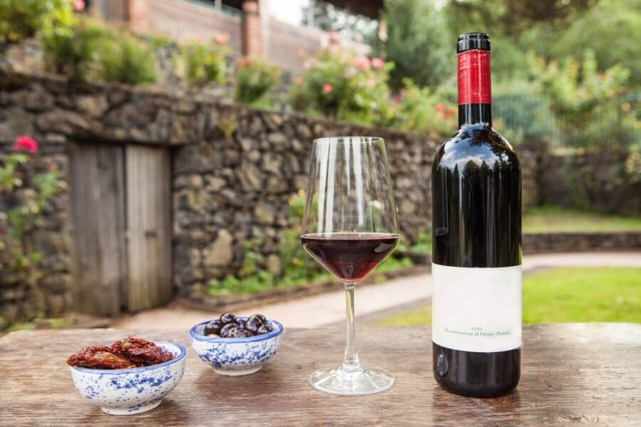 Mount Etna: Winery Tour and Tasting - What To Expect During Your Visit