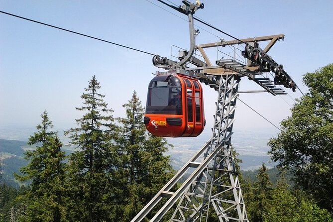 Mount Pilatus off-season Small Group Tour from Basel - Discovering Mount Pilatus off-season: A comprehensive review of the Basel small group tour