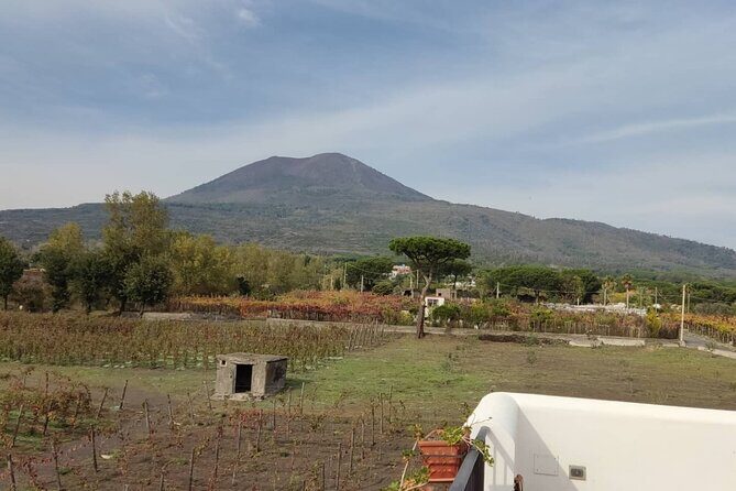 Mount Vesuvius Half Day Private Tour - The Sum Up: Is It Worth It?