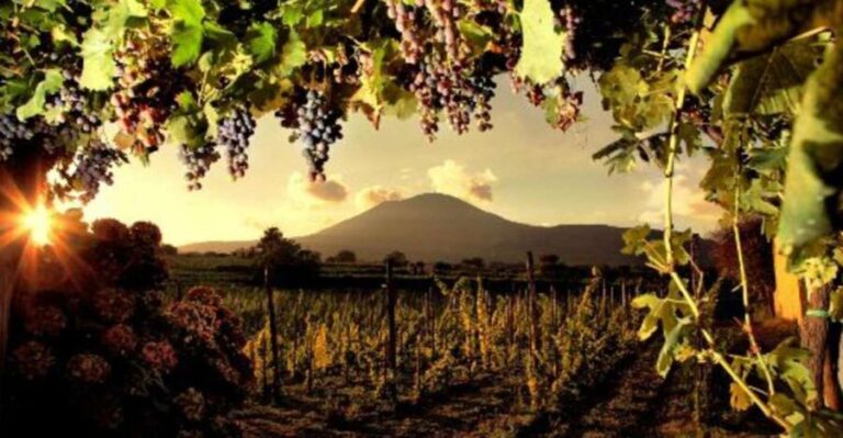Mount Vesuvius Wine Tasting and Lunch from Pompeii - Frequently Asked Questions (FAQs)