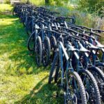 Mountain bike rental in Camargue - What Do the Reviews Say?