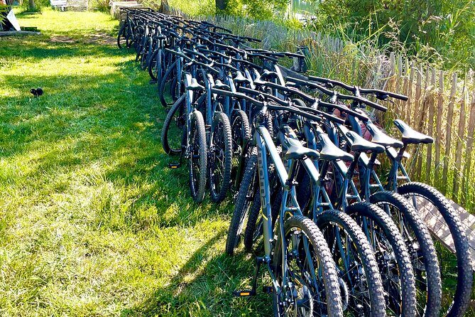 Mountain bike rental in Camargue - What Do the Reviews Say?