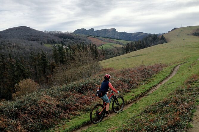 Mountain Bike Small Group Tour in San Sebastian - Exploring the San Sebastián Mountains on Two Wheels: A Detailed Review of the Mountain Bike Small Group Tour