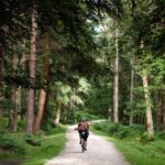 Mountain Bike Trail Discovery Ride Dublin - What Is the Mountain Bike Trail Discovery Ride?