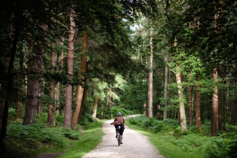 Mountain Bike Trail Discovery Ride Dublin - What Is the Mountain Bike Trail Discovery Ride?