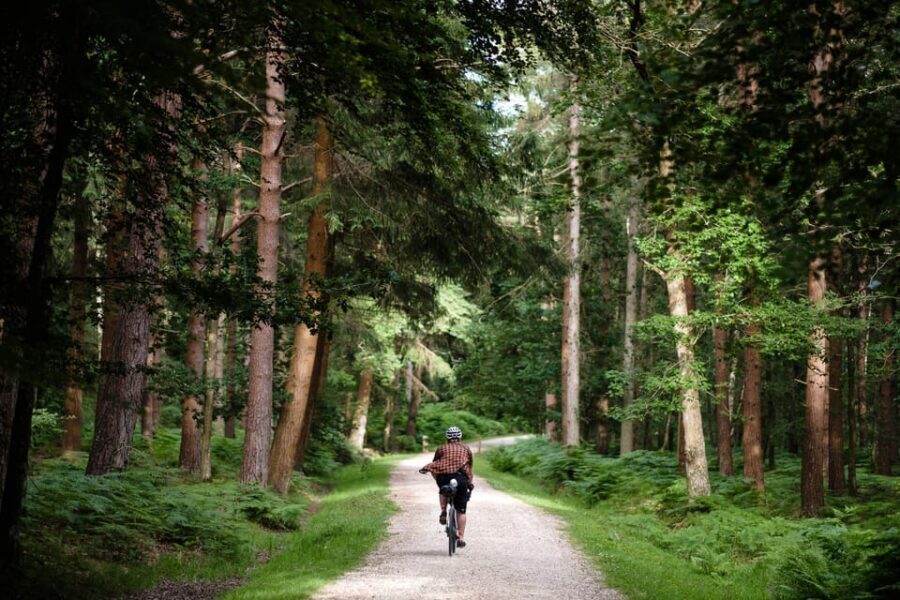 Mountain Bike Trail Discovery Ride Dublin - What Is the Mountain Bike Trail Discovery Ride?