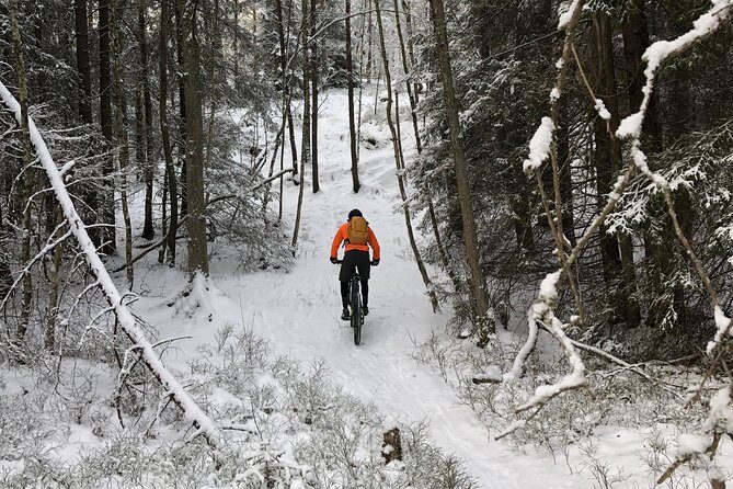Mountain Biking Small-Group in Stockholm Forests for Beginners - What the Reviews Say