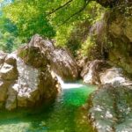 Mountain Train Experience: Hike & Mystic Forest (From Nice) - Lunch in a Local Restaurant