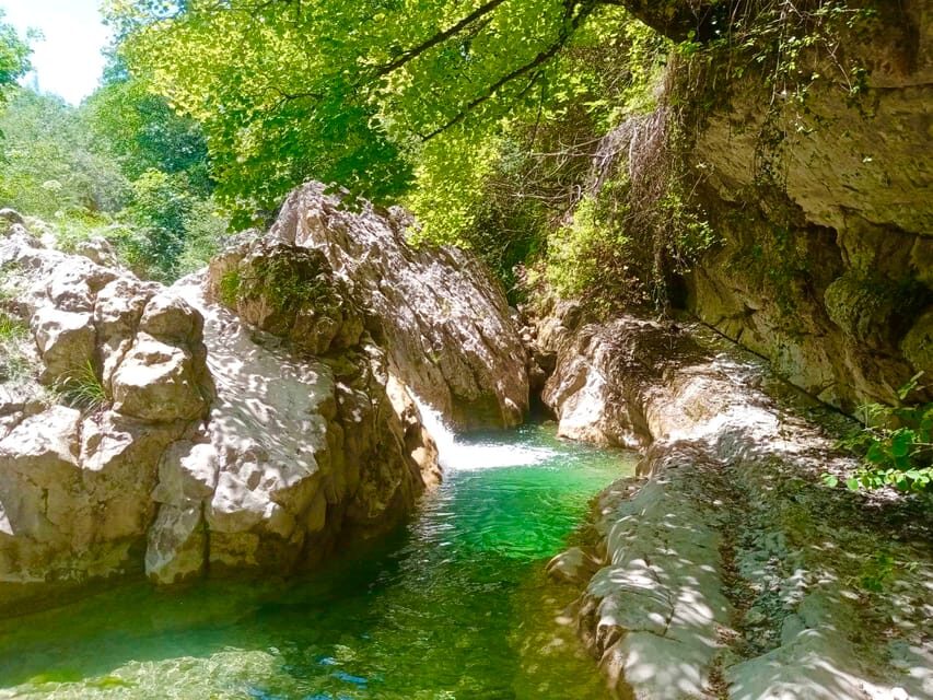 Mountain Train Experience: Hike & Mystic Forest (From Nice) - Lunch in a Local Restaurant
