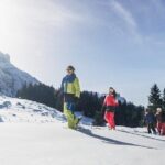 Mt. Pilatus Gondola and Aerial Cableway Ticket from Kriens - Practical Details and Value