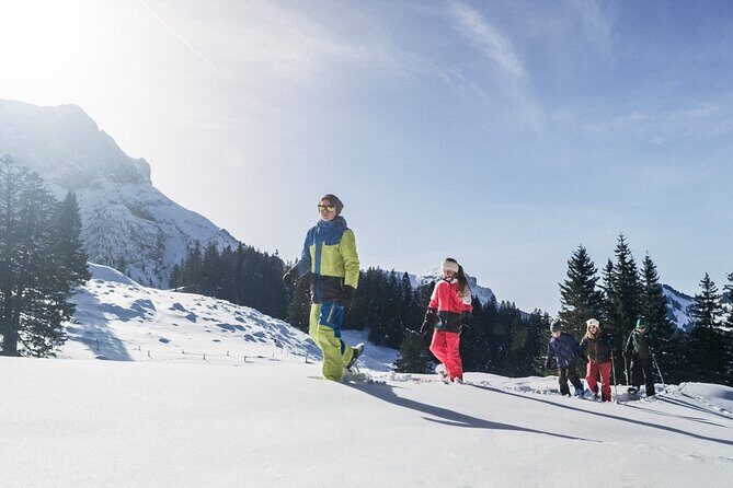 Mt. Pilatus Gondola and Aerial Cableway Ticket from Kriens - Practical Details and Value