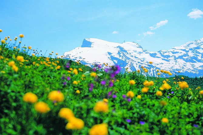 Mt Titlis Glacier Paradise Tour from Zurich With Lucerne - The Ascent to Engelberg and Trübsee