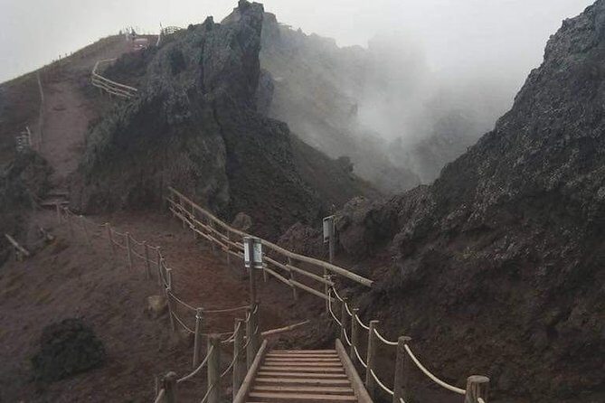 Mt. Vesuvio Excursion for 2 hours (round-trip included) - FAQ