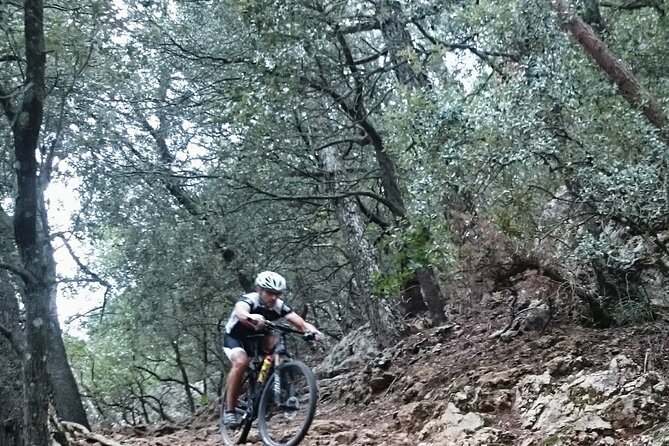 MTB guided tour in Bellver forest and Na Burguesa m.(E-MTB avai.) - Discover Mallorcas Natural Beauty on a Guided MTB Tour